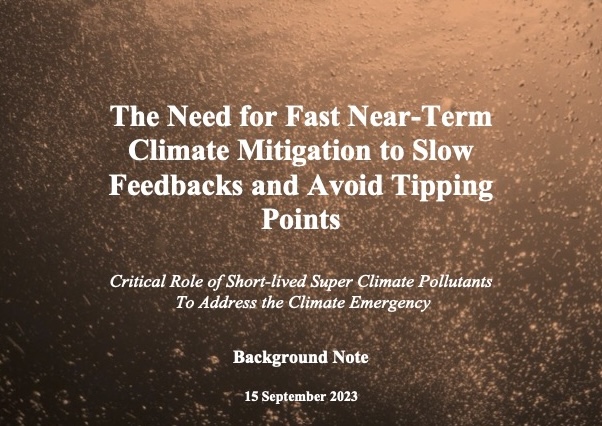 Primer on Non-Carbon Dioxide Pollutants in India - Institute For ...